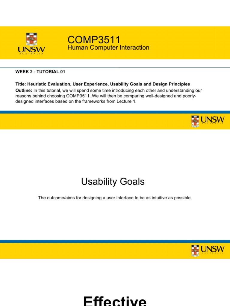 Dbs MGMT Lect 1 | PDF | Usability | Cognitive Science