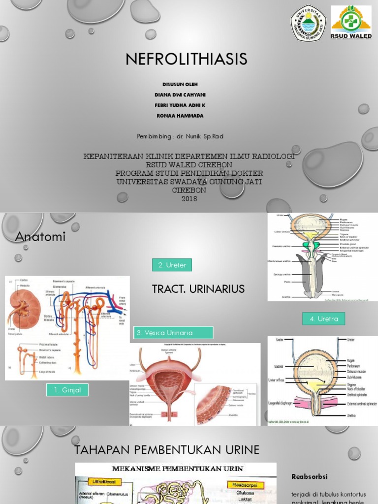 Radiologi Nefrolitiasis | PDF | Ilmu Sosial | Kesehatan Holistik
