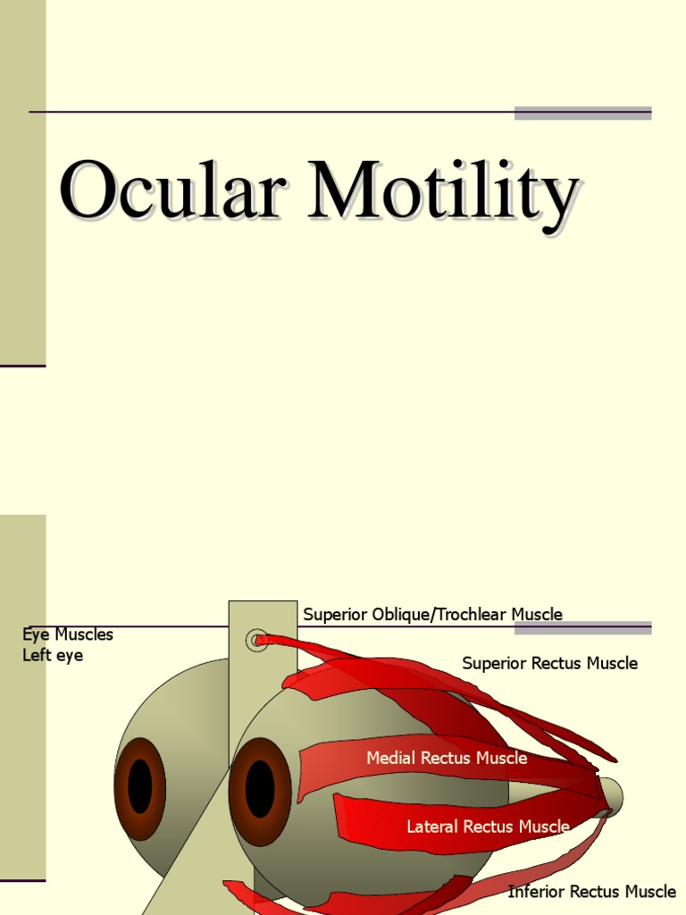 Ocular Motility | PDF | Diseases Of The Eye And Adnexa | Facial Features