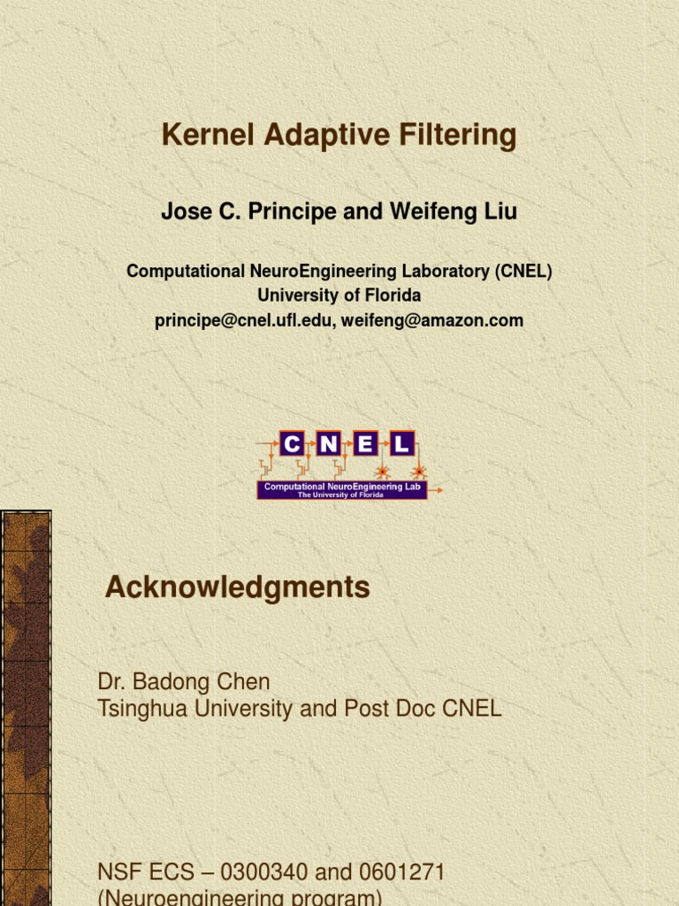Kernel Adaptive Filtering PDF | PDF | Mathematical Optimization | Algorithms