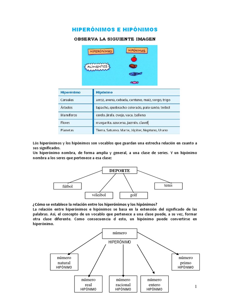 HIPERÓNIMOS E HIPÓNIMOS.docx | Naturaleza