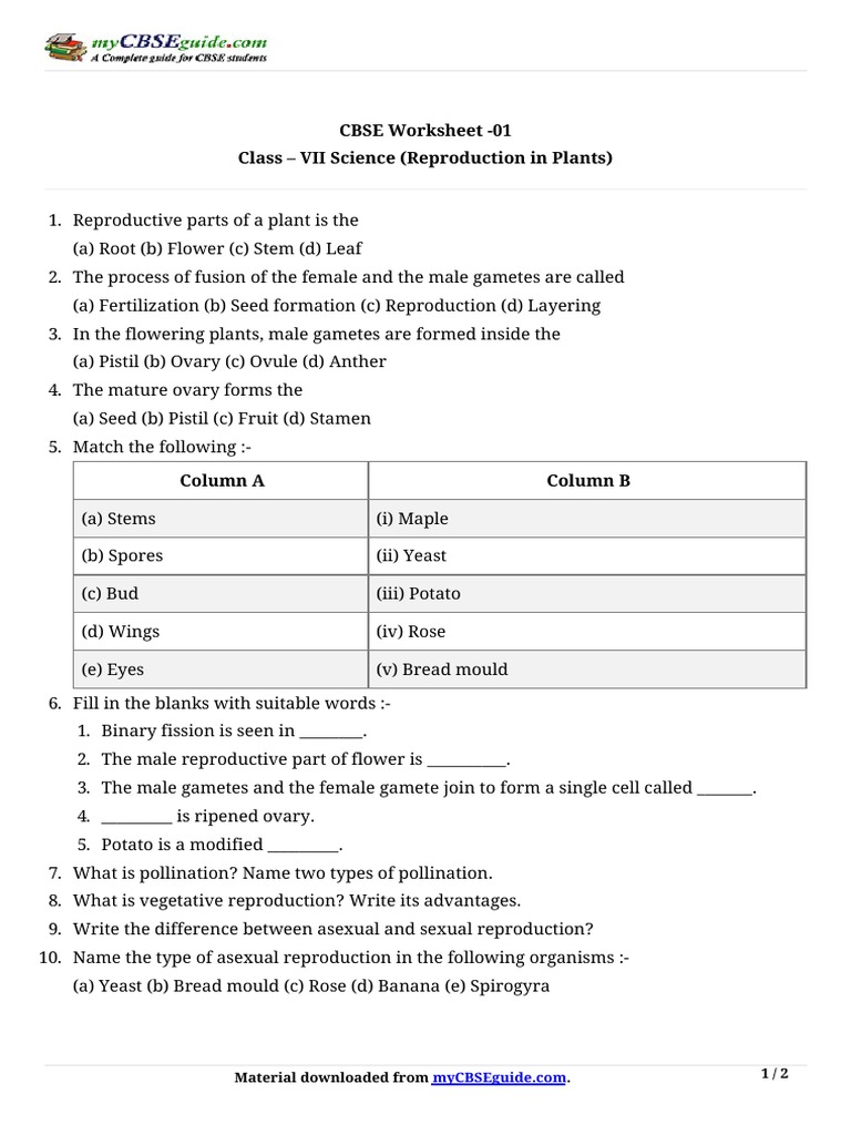 7 Science Worksheet Ch12 1 | Download Free PDF | Sexual Reproduction ...
