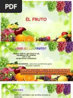 Morfología de Frutos: Silicua y Cipsela | PDF | Fruta | Morfología Vegetal