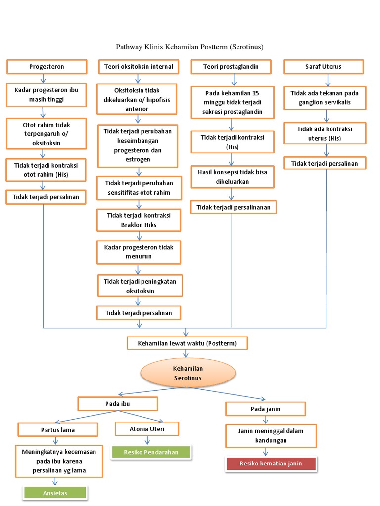 Pathway Klinis Kehamilan Postterm | PDF