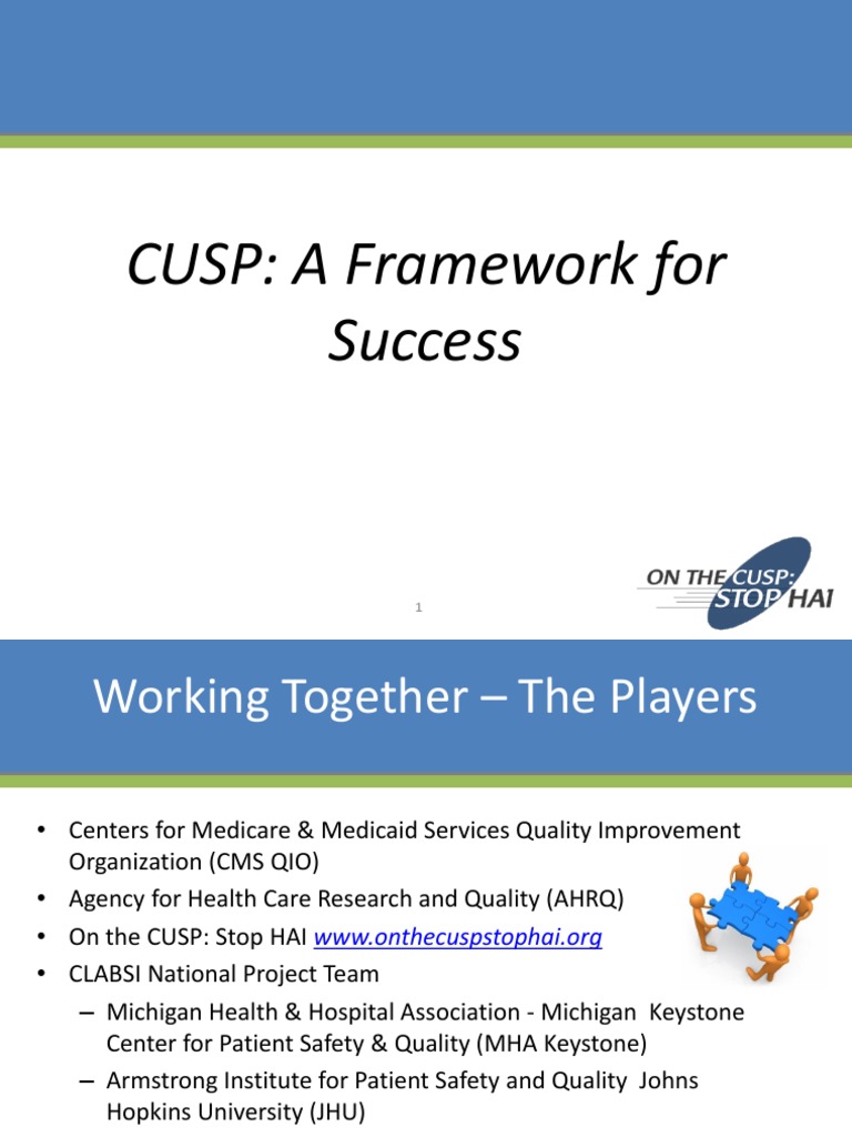 2016 CUSP A Framework For Success | PDF | Patient Safety | Health Care
