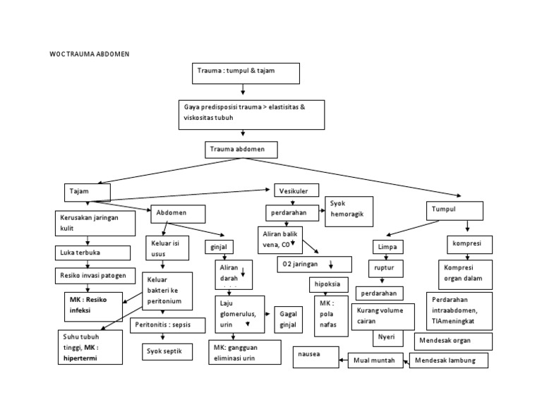 Woc Trauma Abdomen Kel 5 | PDF