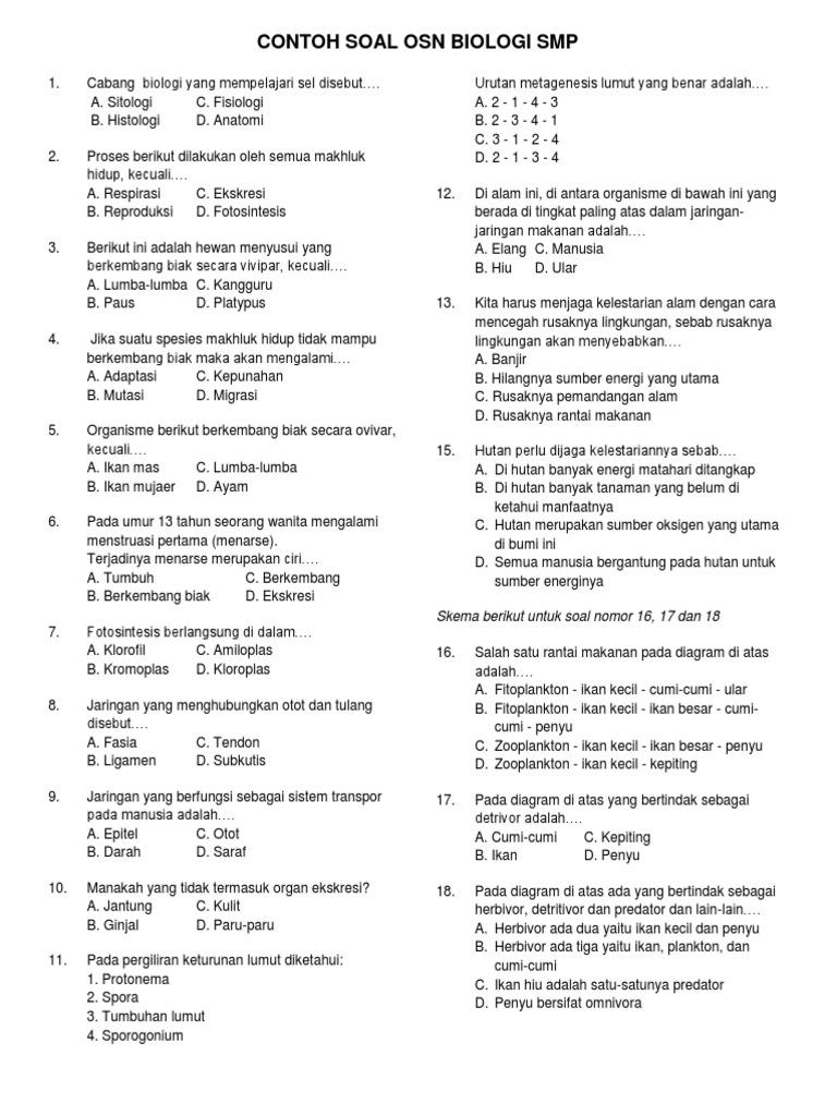 Contoh Pilihan Ganda | PDF