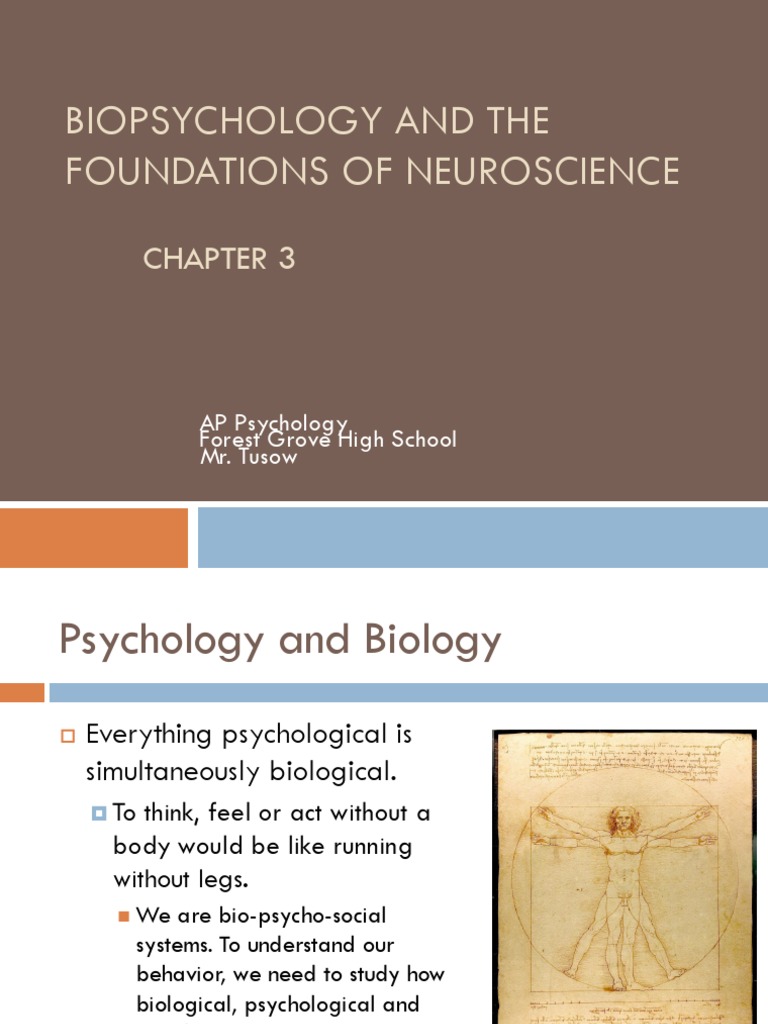 CH 2 The Biology of The Mind | PDF | Nervous System | Neurotransmitter
