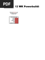 Advanced Powerlifting Sample Program | PDF | Athletic Sports | Hobbies