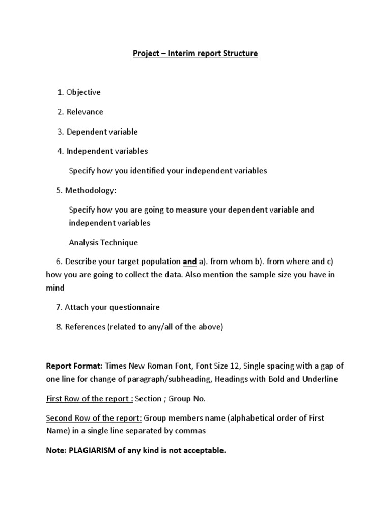 Project Interim Report Guidelines | PDF