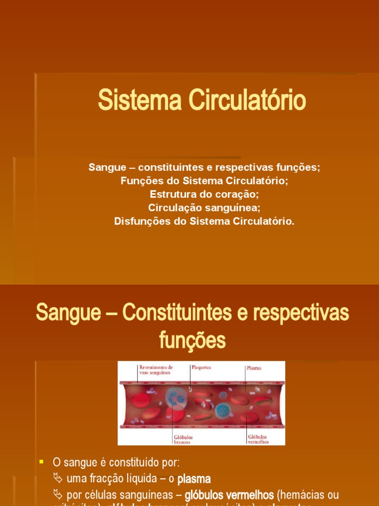 Sistema Circulatorio | PDF | Coração | Sistema circulatório
