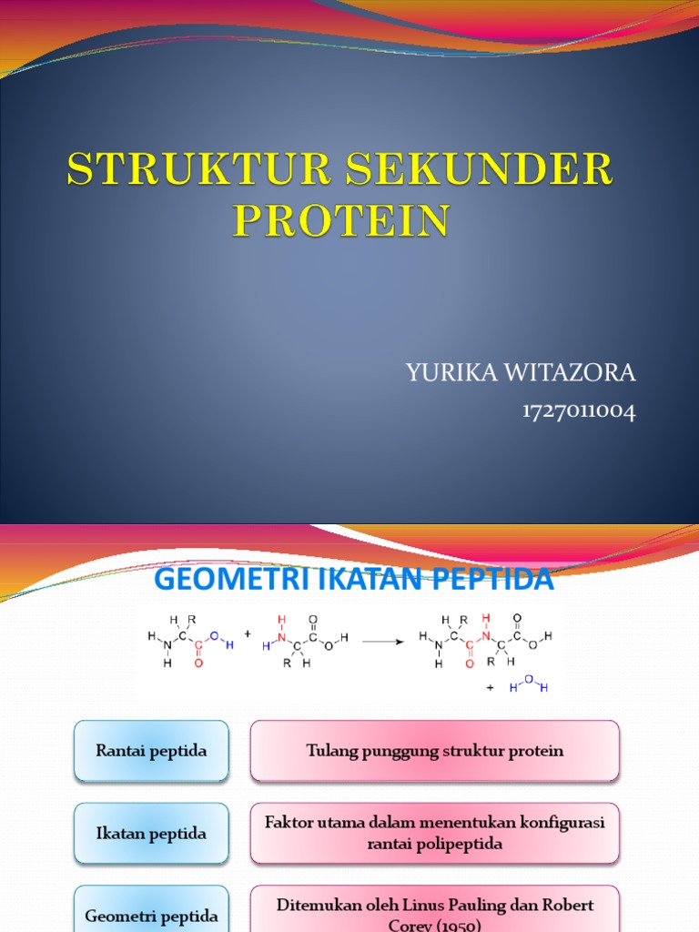 Struktur Sekunder Protein | PDF