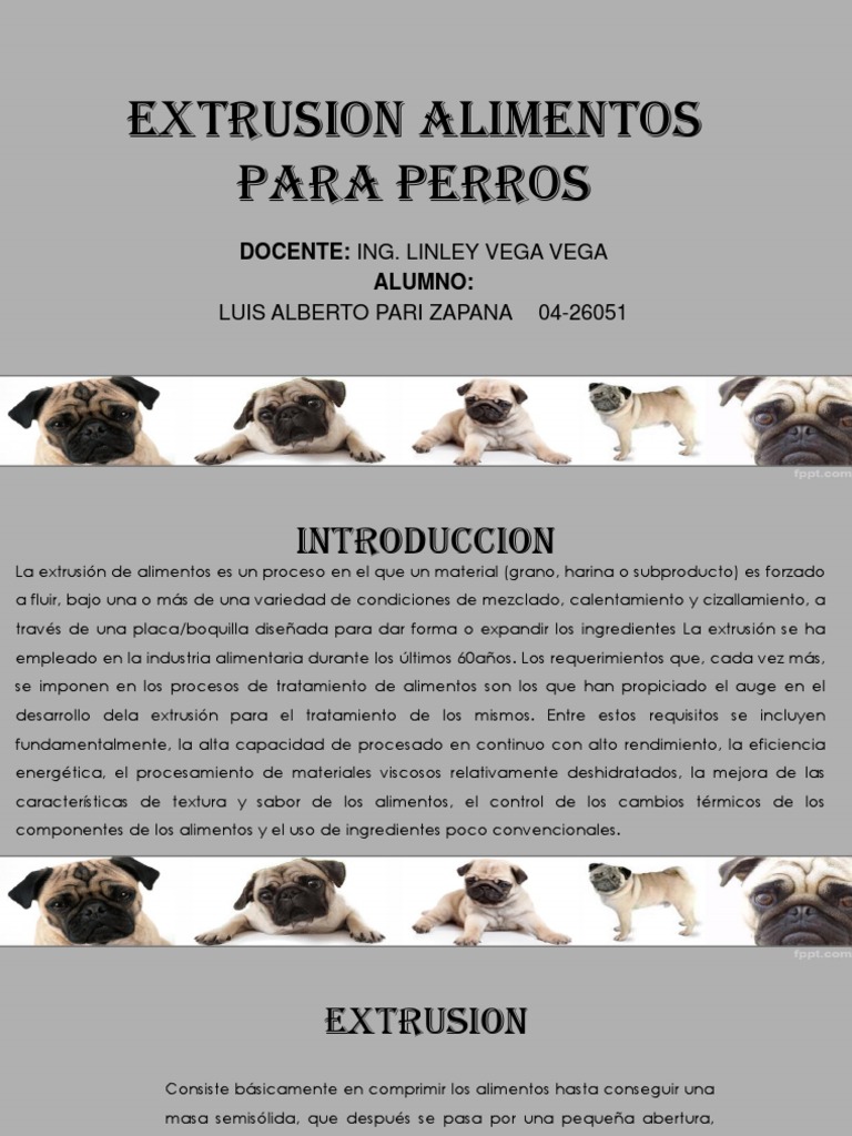 Extrusión de alimentos para perros: proceso, factores influyentes y ...