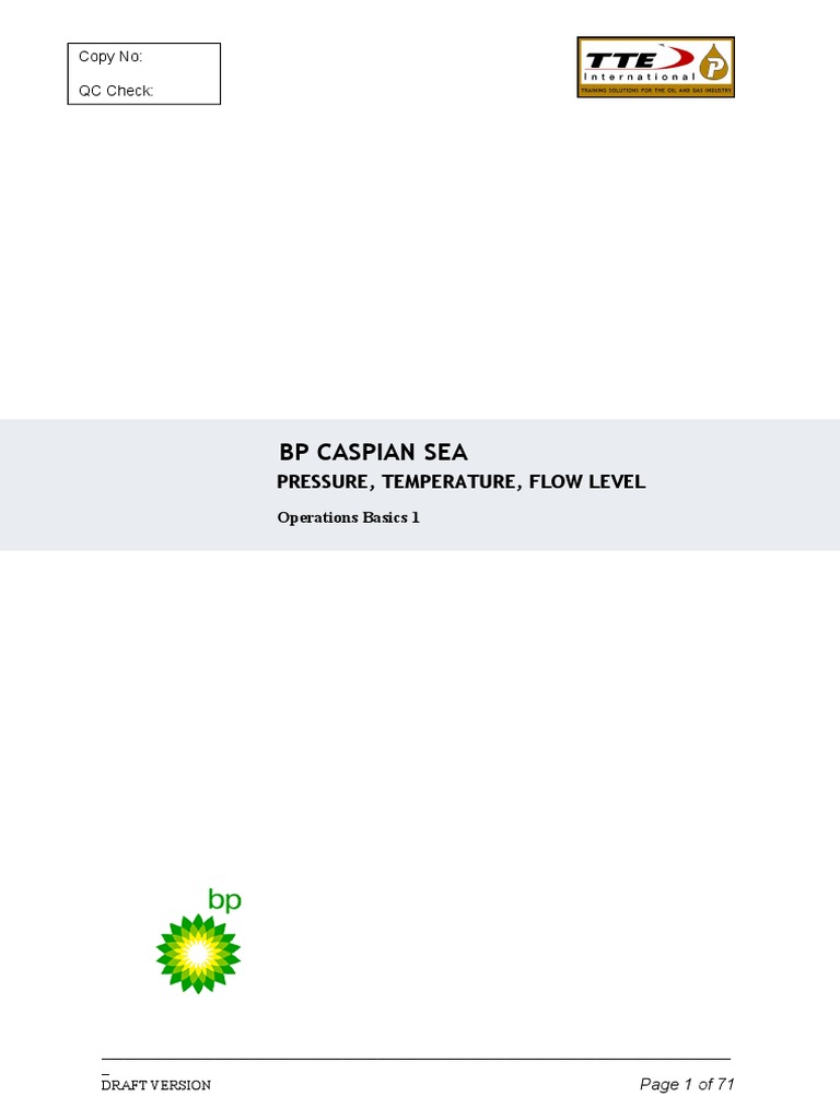 Pressure, Temperature, Flow, Level | PDF | Pressure Measurement | Flow ...