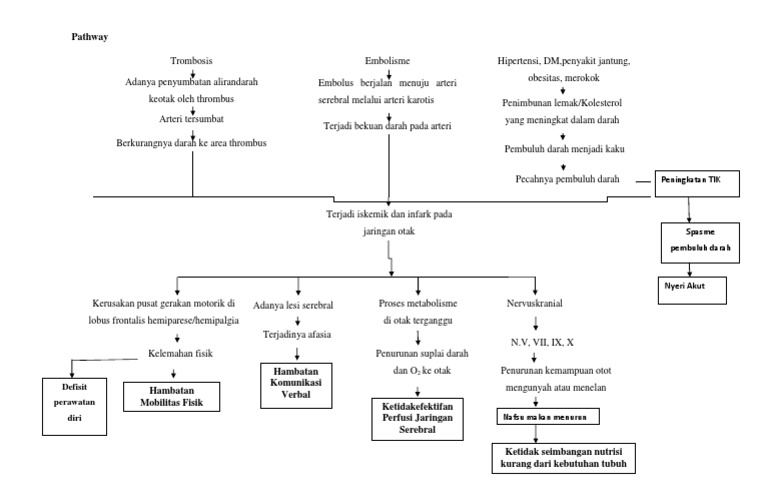 Pathway SNH Fiks | PDF