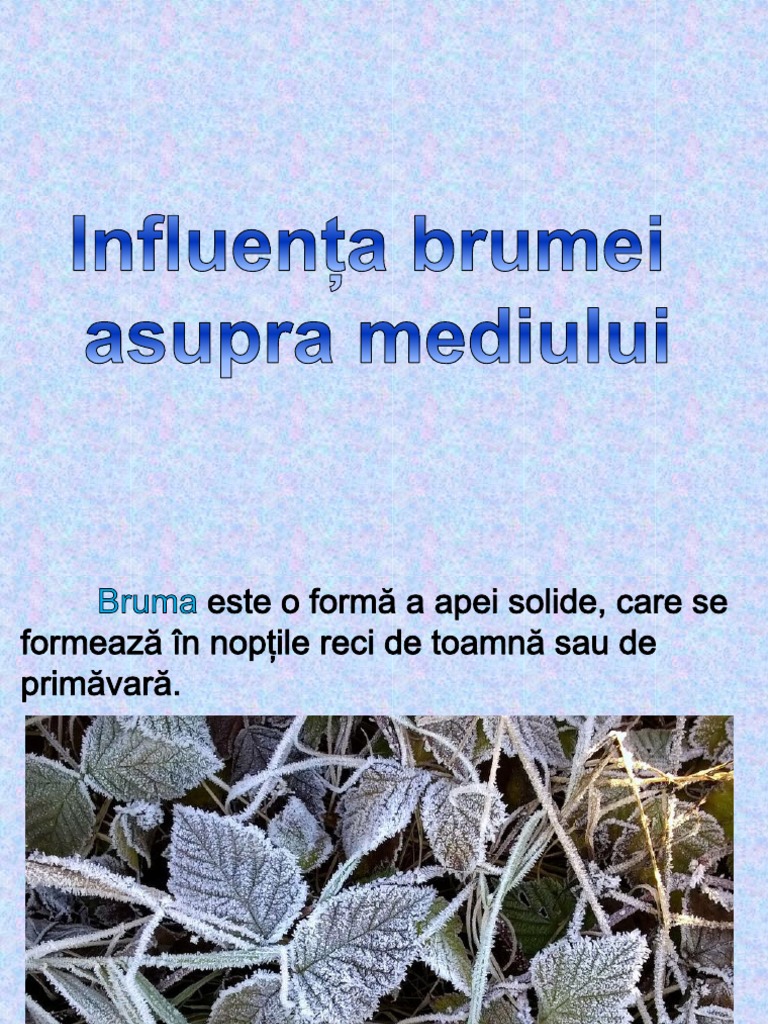 Bruma | PDF