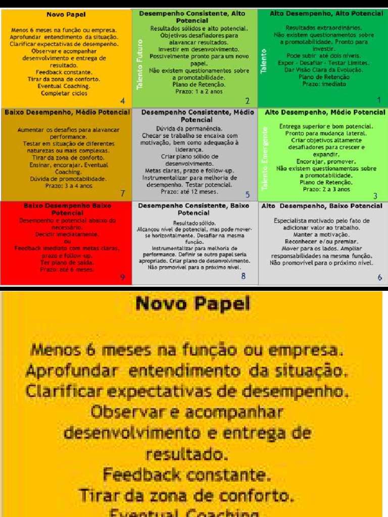 The Nine Box Grid Or Talent Matrix PDF