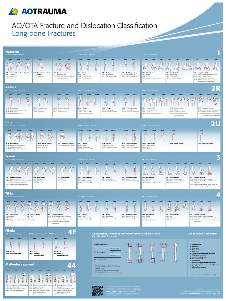 Clasificación de Fracturas AOTRAUMA | PDF | Human Anatomy | Limbs (Anatomy)