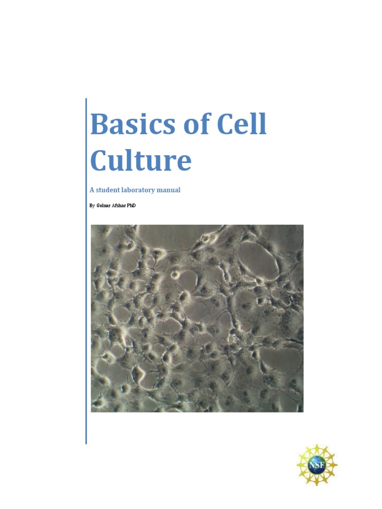 Basics of Cell Culture Students Manualv7 | PDF | Fluorescence ...