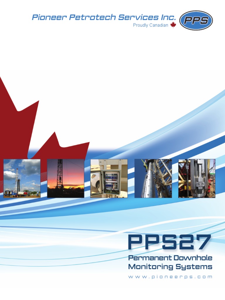PPS27 PDMS English Brochure V5 | PDF | Pump | Pressure