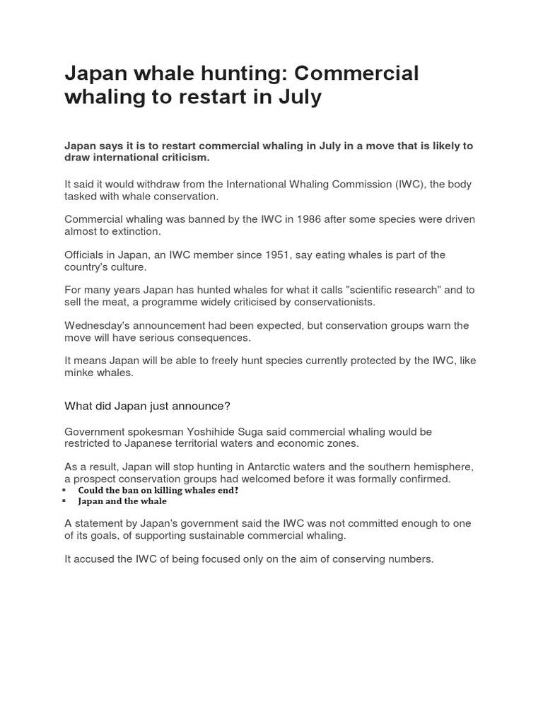 Japan Whale Hunting Commercial Whaling To Restart in July | PDF ...