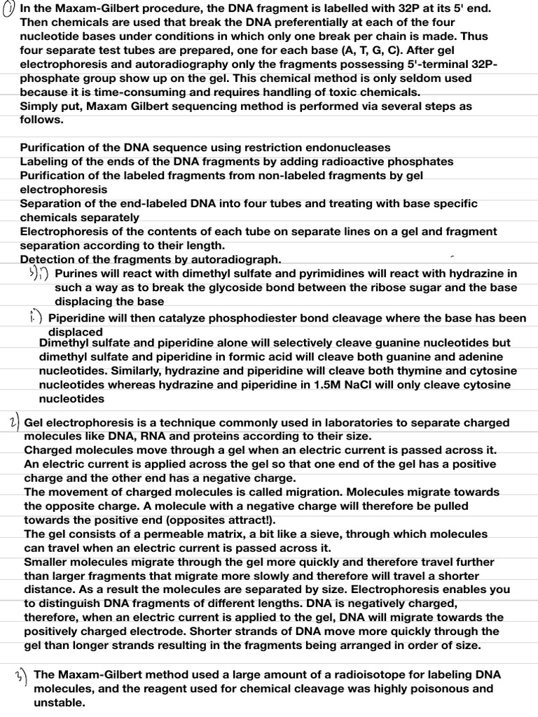 Biophysics Assignment 2 PDF | PDF | Gel Electrophoresis | Nucleotides