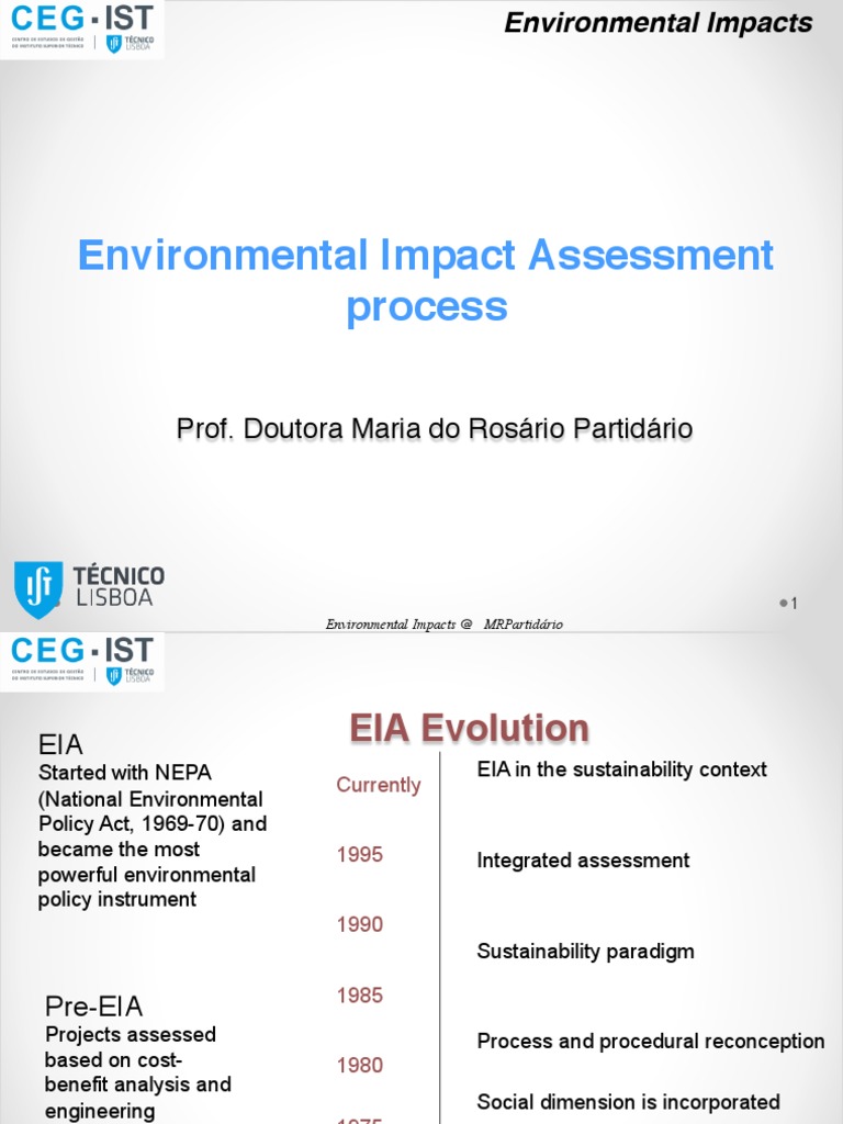 EIA Process | PDF | Environmental Impact Assessment | Natural Environment