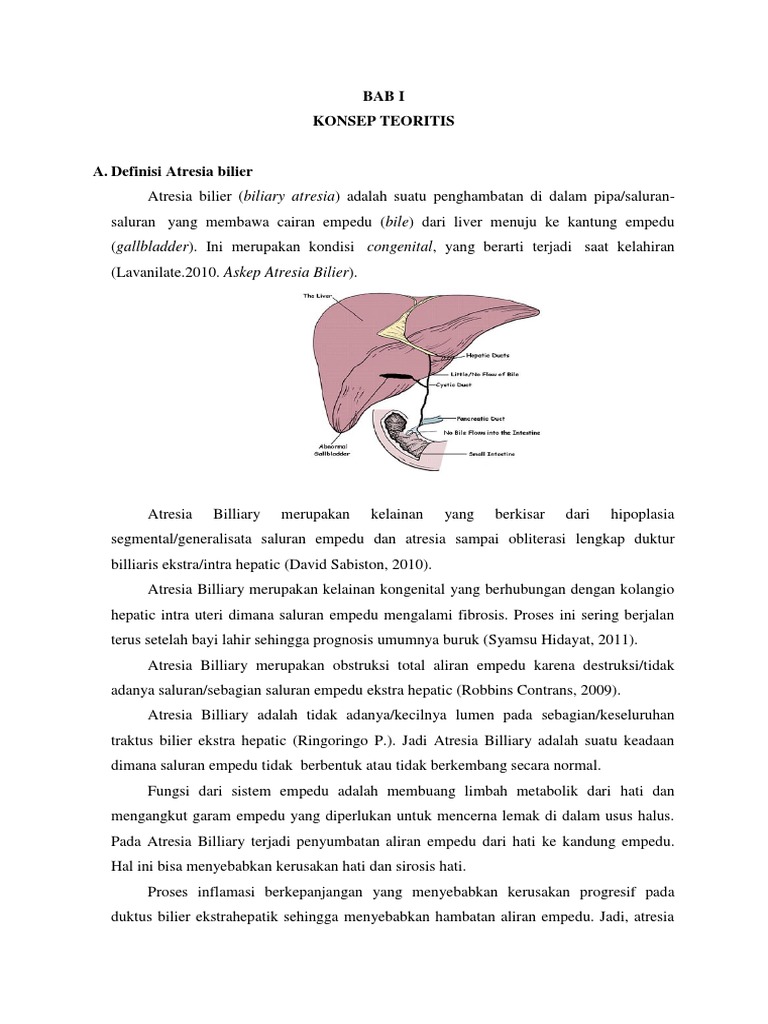 BAB I Atresia Bilier | PDF