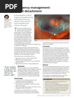 Understanding White Without Pressure (WWOP) | PDF | Vision | Ophthalmology