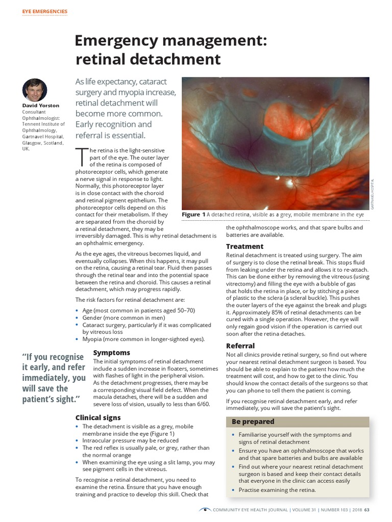 Emergency Management: Retinal Detachment | PDF | Retina | Diseases Of ...