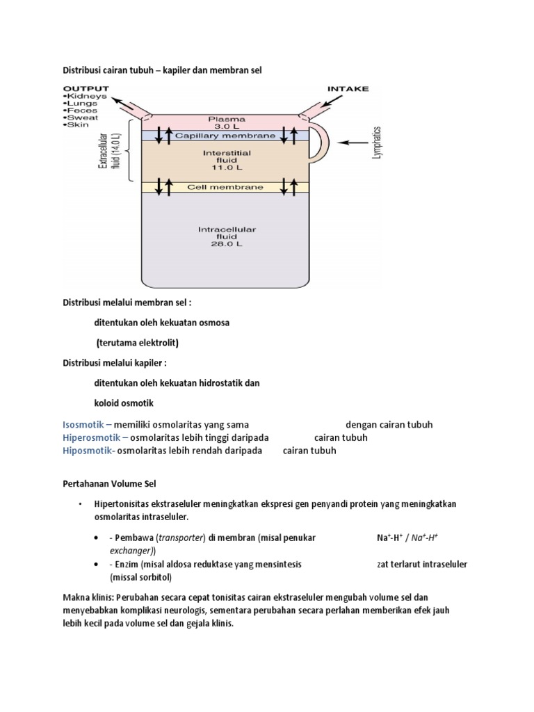 Distribusi Cairan Tubuh | PDF