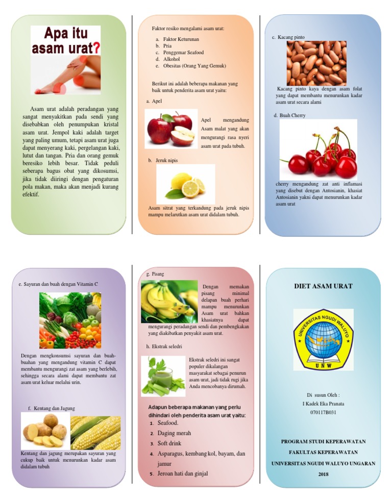 Leaflet Asam Urat | PDF