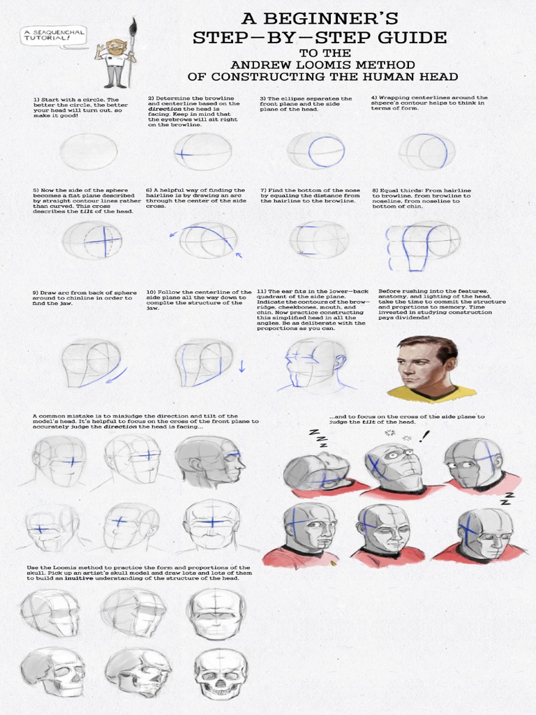 A Beginner's Step by Step Guide. Andrew Loomis Method. | PDF
