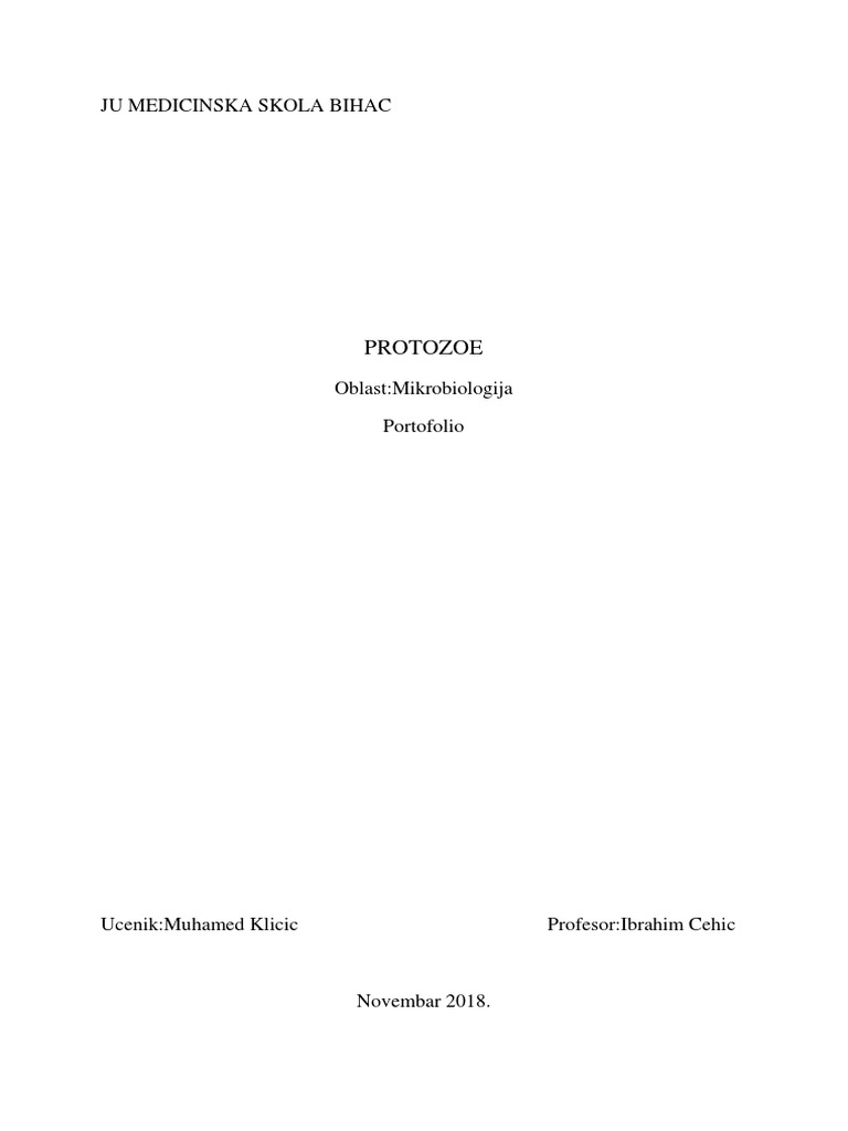 Receptori (Čula) | PDF