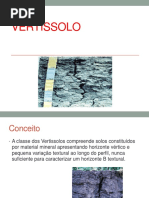 Características dos Vertissolos no Brasil | PDF | Solo | Clima temperado