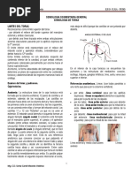 Ángulo de Louis | PDF | Tórax | Anatomía humana