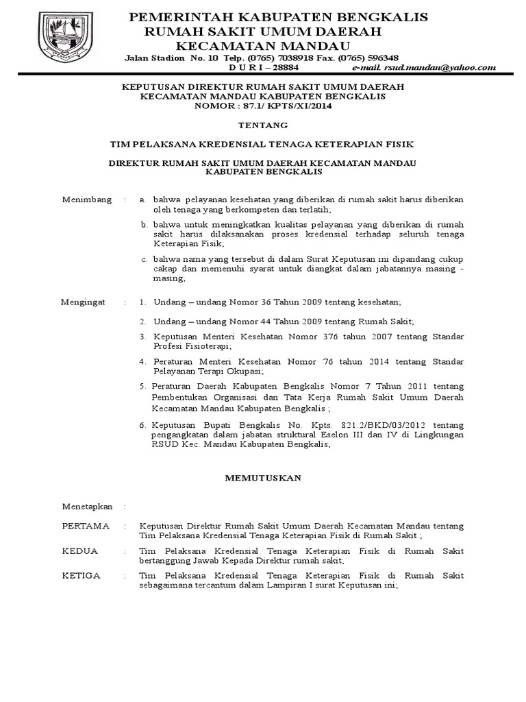 SK PEMBENTUKAN Tim Kredensial Tenaga Fisioterapi DKK | PDF