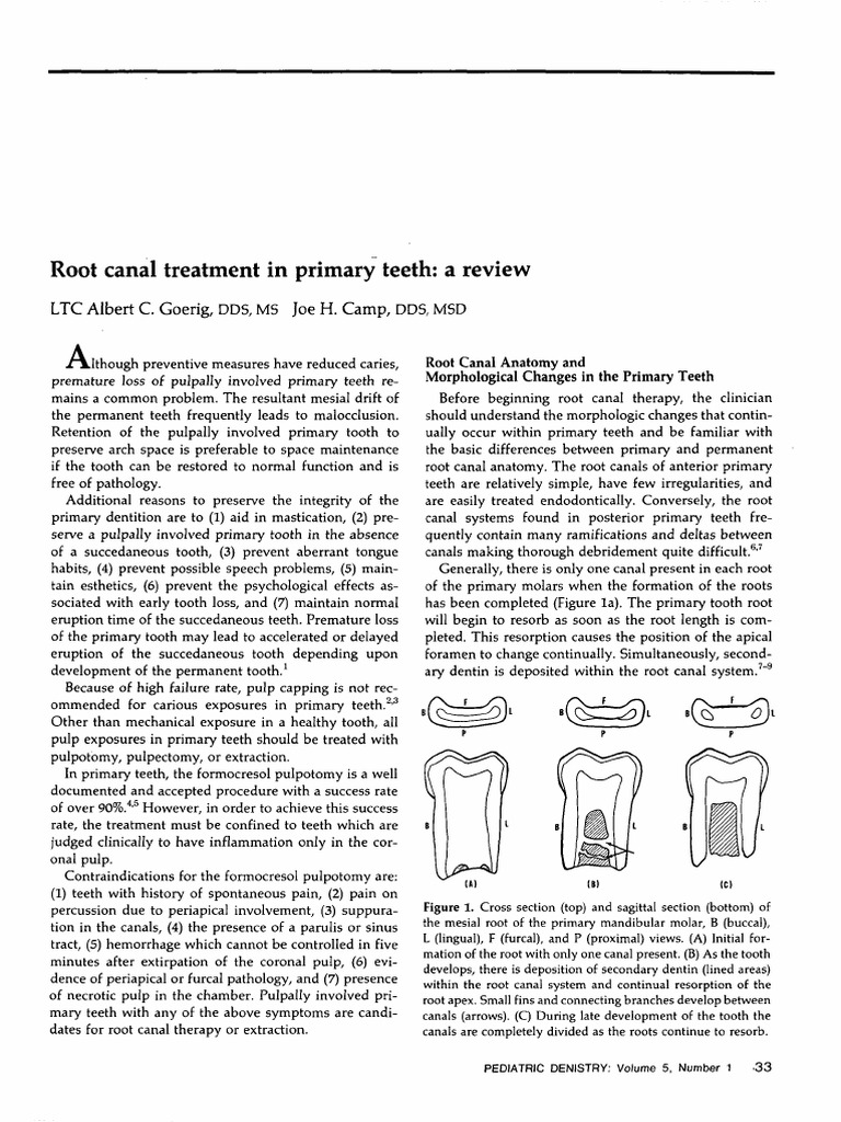 Root canal treatment in primary teeth | PDF | Human Tooth | Dentistry