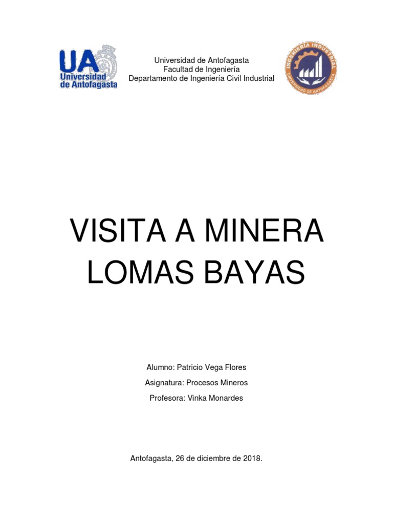 Lomas Bayas | PDF | Minería | Cobre
