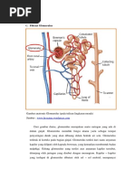 Struktur dan Fungsi Ginjal | PDF