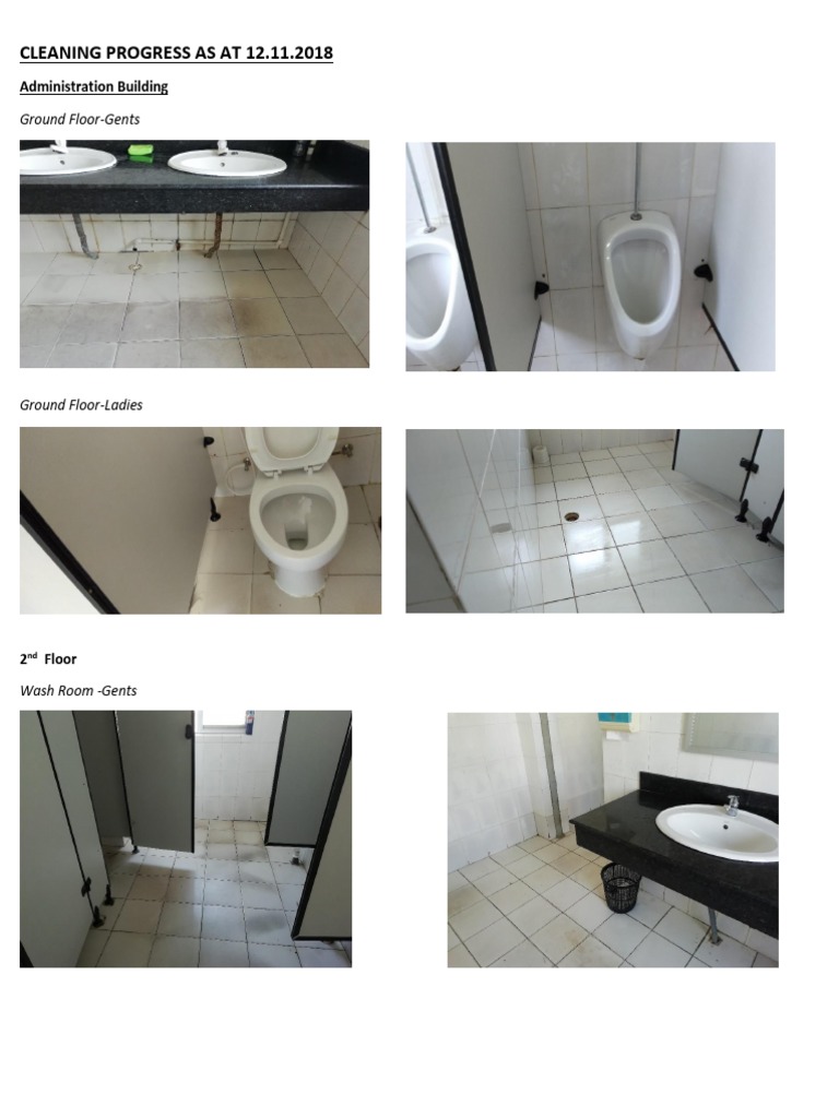 Cleaning Progress As at 12 | PDF