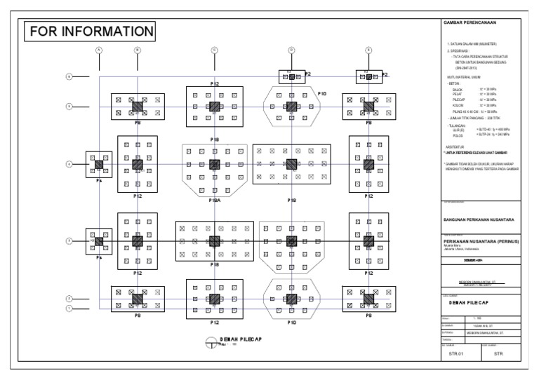 Denah Pile Cap - 2 | PDF