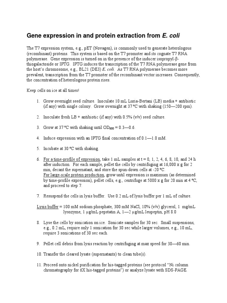 Gene Expression and Protein Extraction | PDF | Cooking, Food & Wine