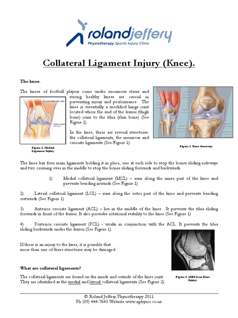 Collateral Ligament Injury Knee | PDF | Knee | Lower Limb Anatomy