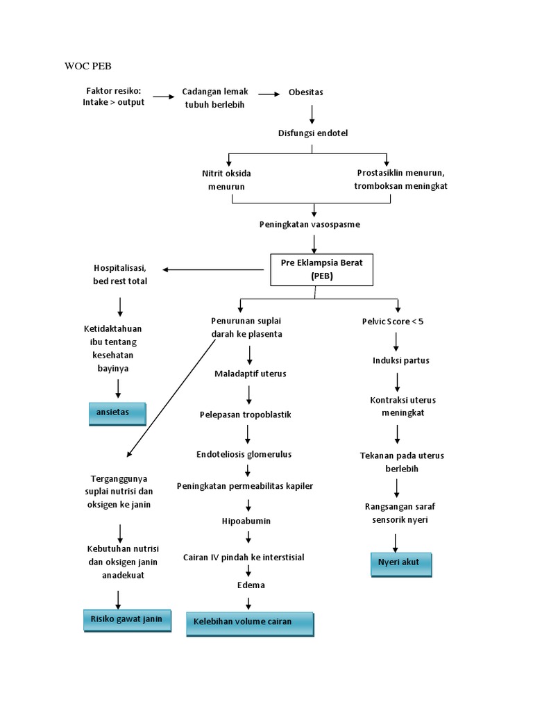 Pathway Penanganan PEB pada Ibu Hamil | PDF