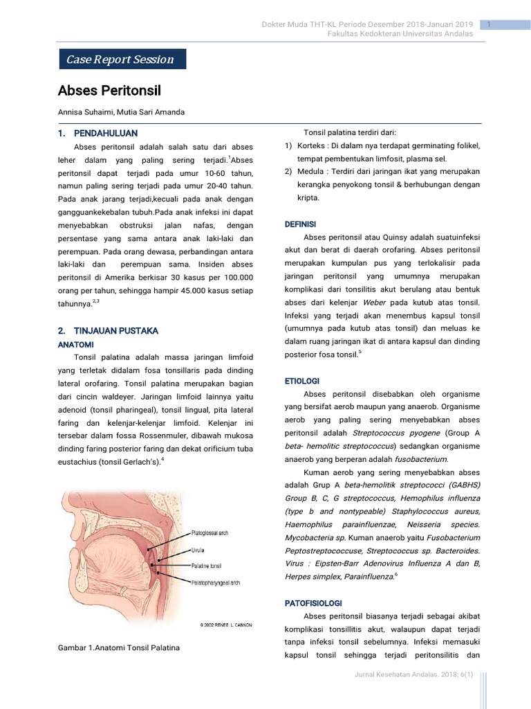 Crs Abses Peritonsil | PDF