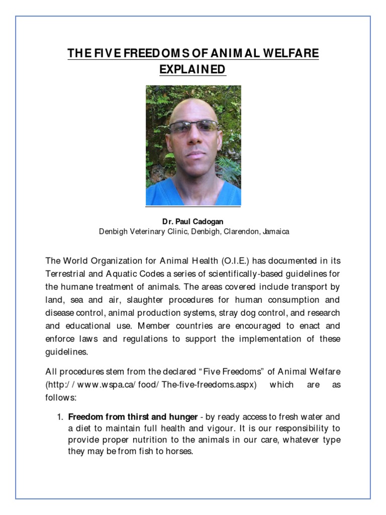 The Five Freedoms of Animal Welfare Explained - Dr. Paul Cadogan | PDF ...