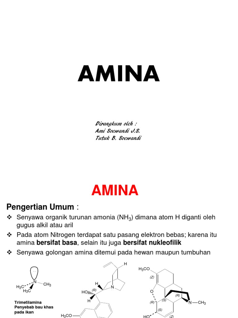 03 - Amina PDF | PDF