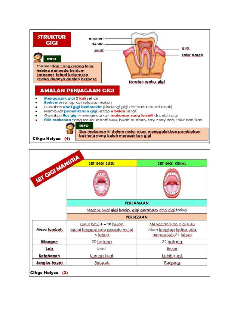 Nota Sains Tahun 3 | PDF