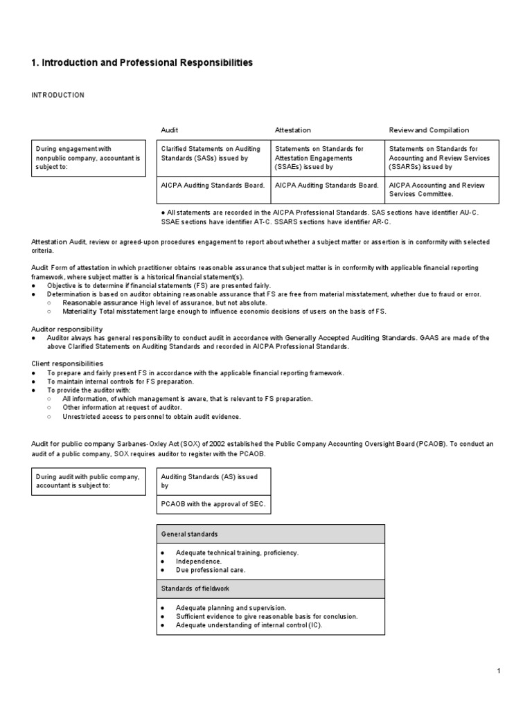 Sample Page: Auditing and Attestation | PDF | Audit | Sarbanes–Oxley Act